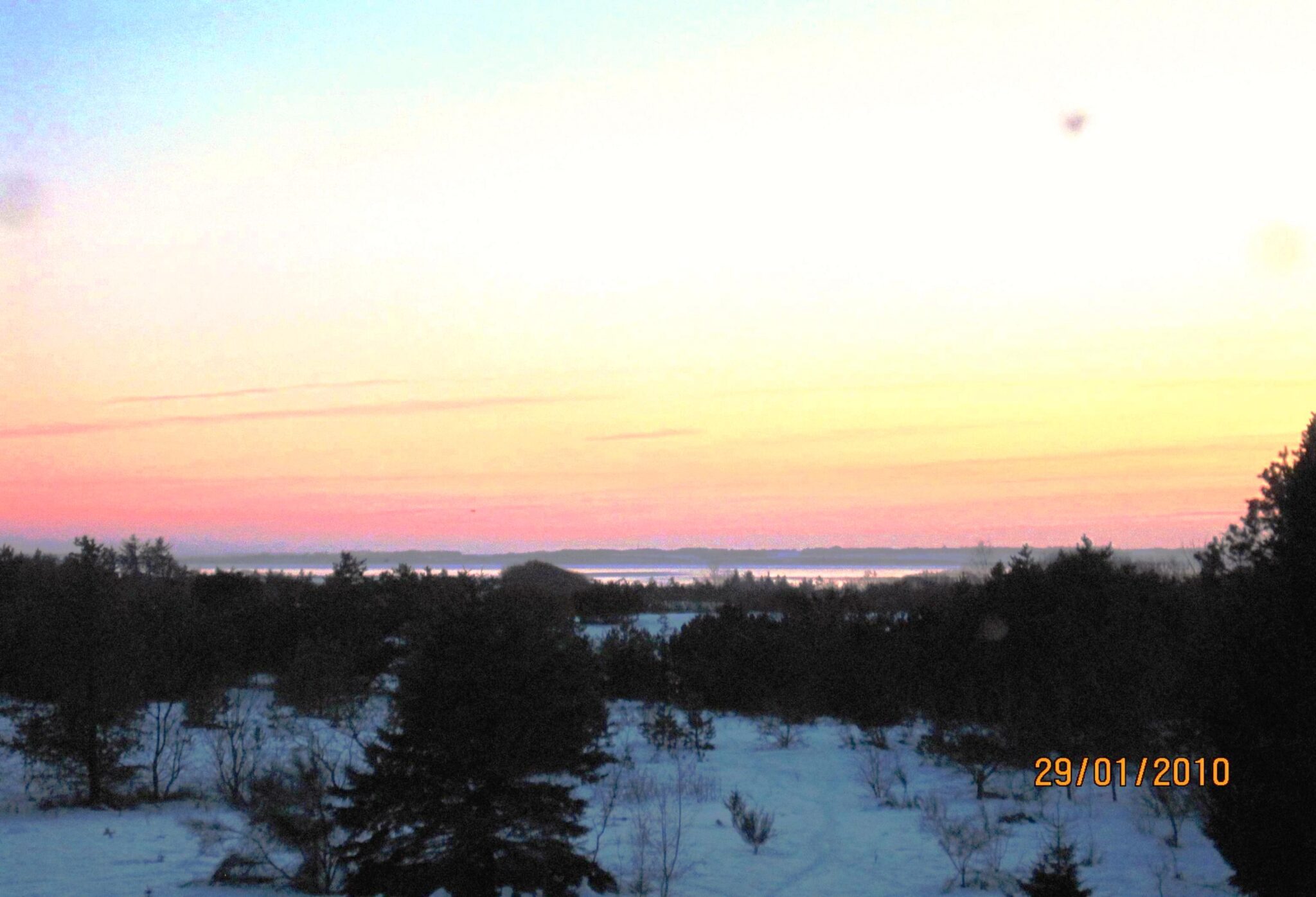 Spil Bridge on-line | Ertebo